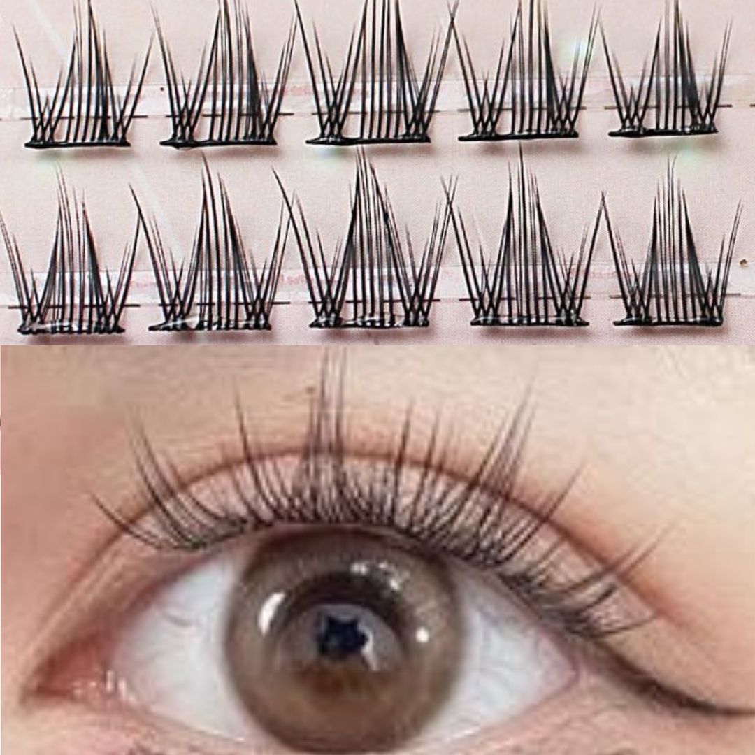 Peacock Glueless Press-on Eyelashes – hanakoko